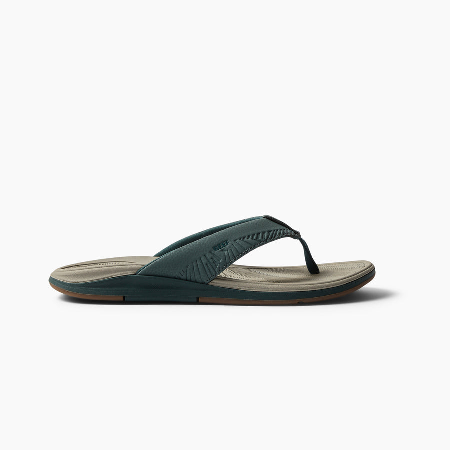 Offshore – REEF