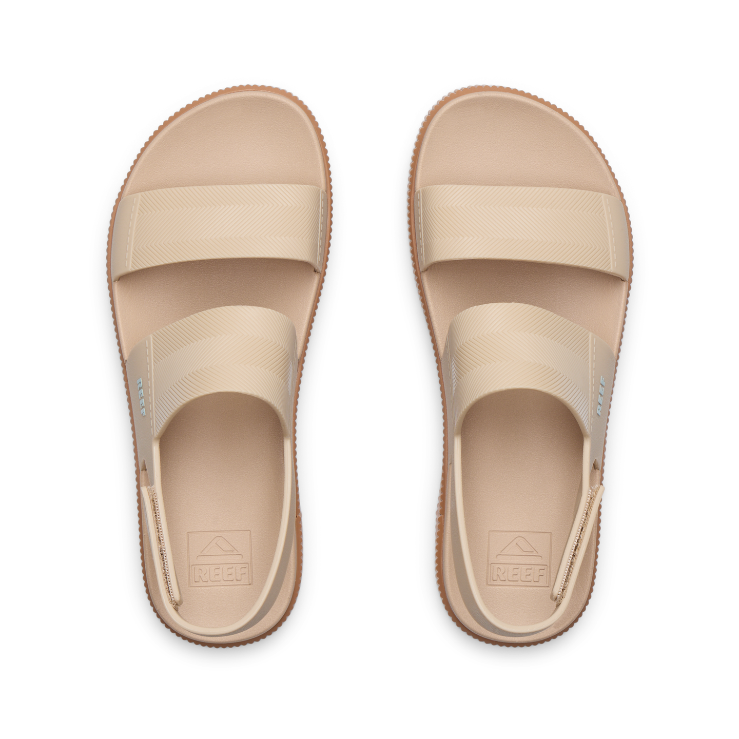 Water Vista Higher – REEF