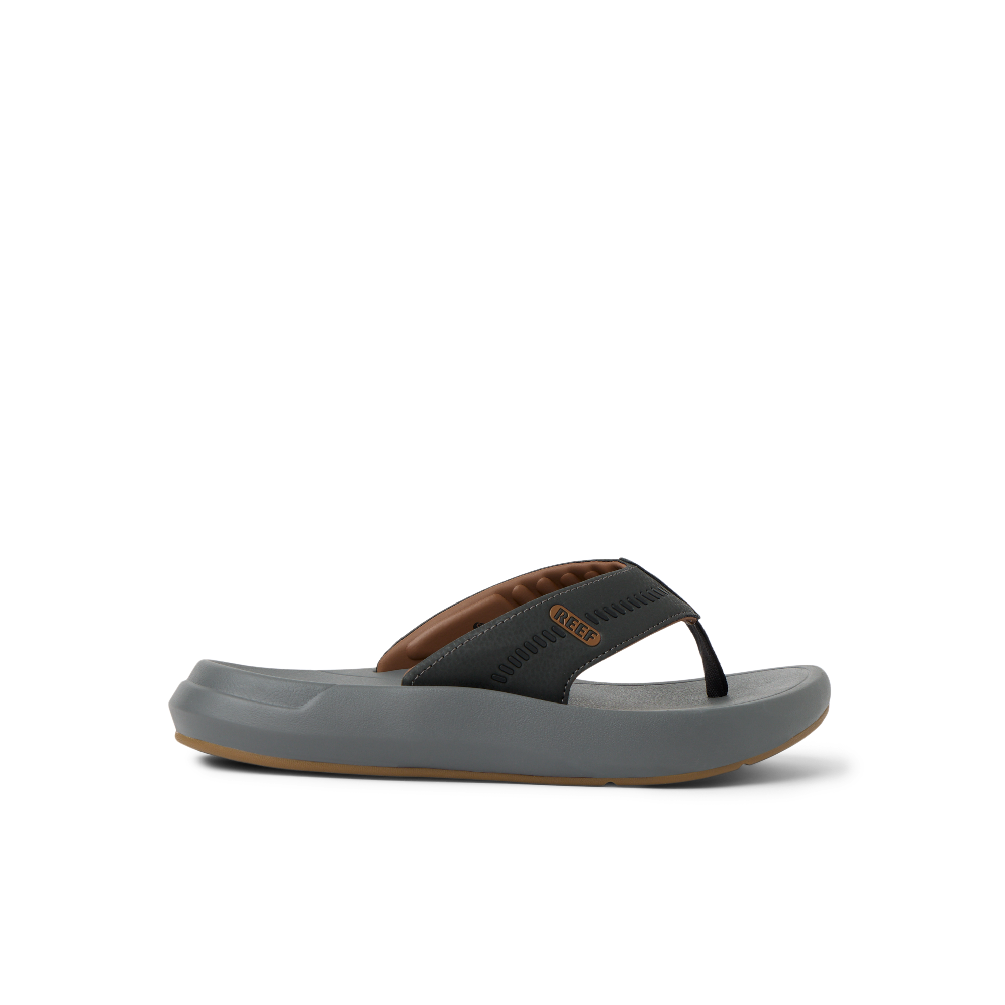 Cruiser – REEF